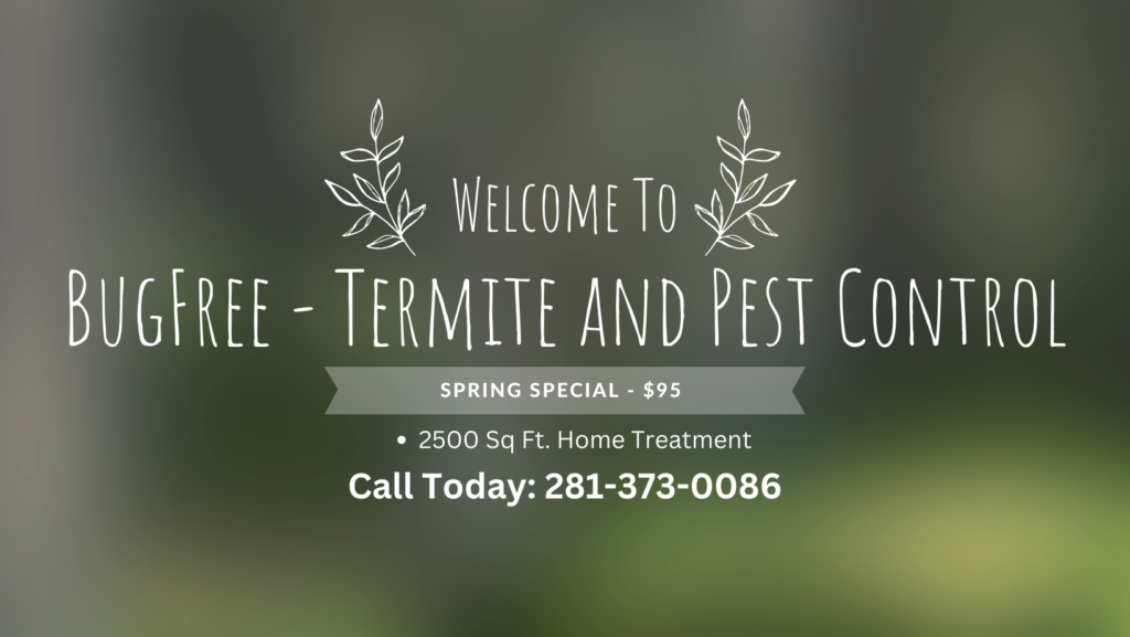 Bug Free Texas | Professional exterminating at an affordable price